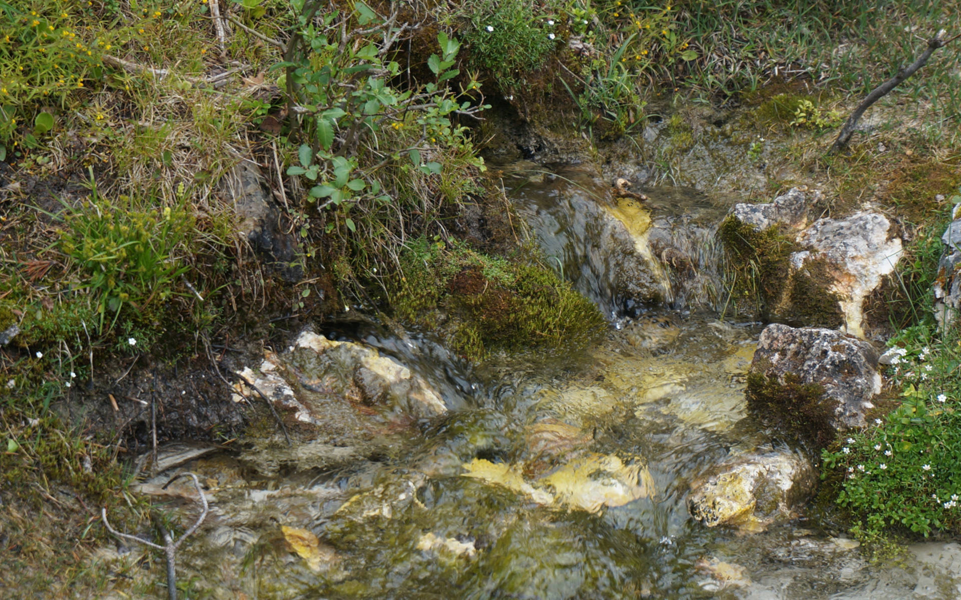 Thema Quellen | Pro Natura Glarus