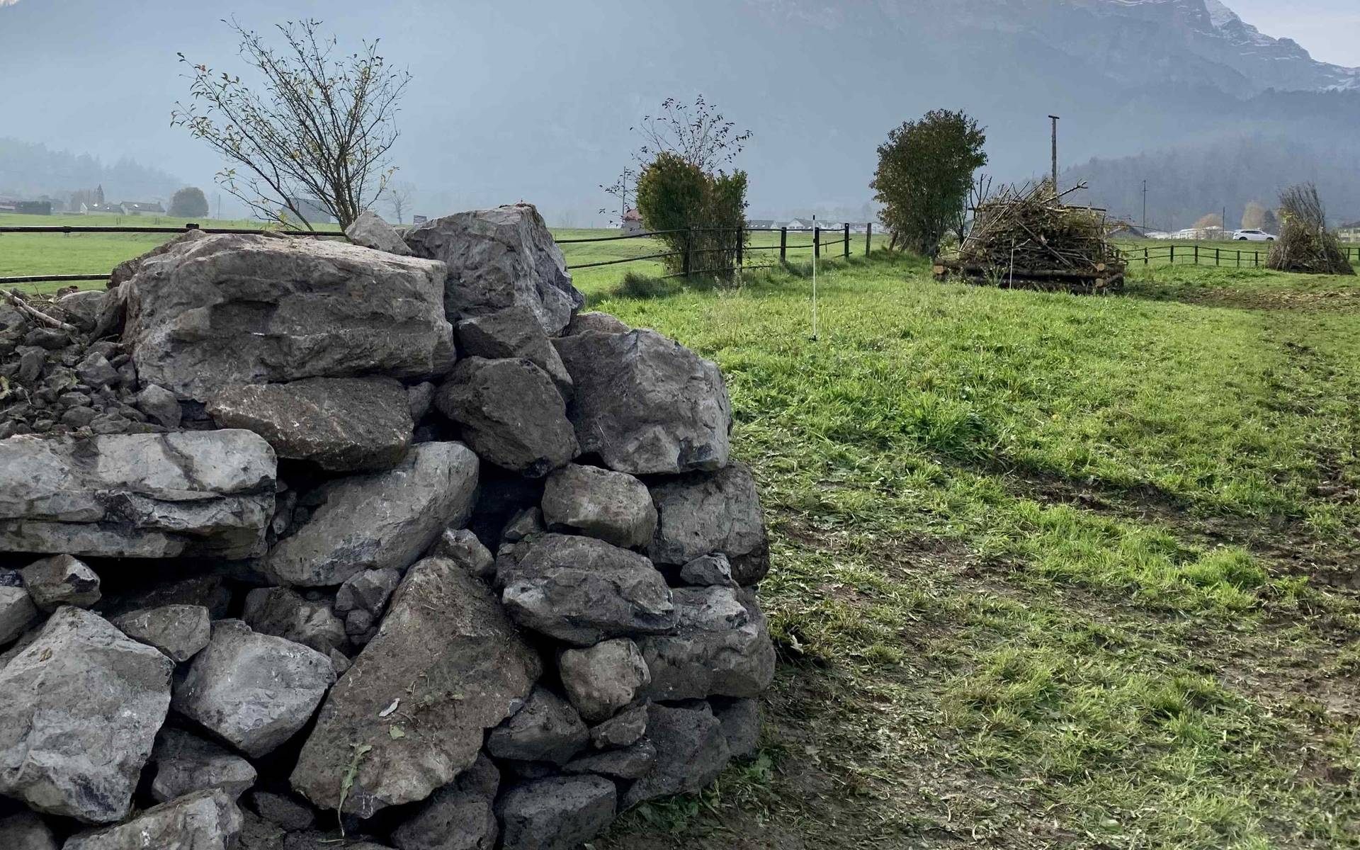 Neue Lebensräume für Hermelin & Co. | Pro Natura Glarus